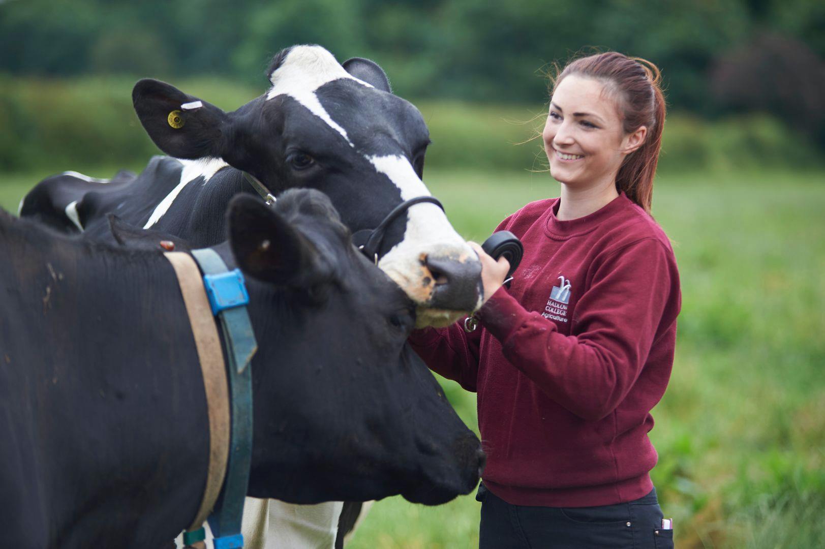 Animal Management courses in Kent | Hadlow College