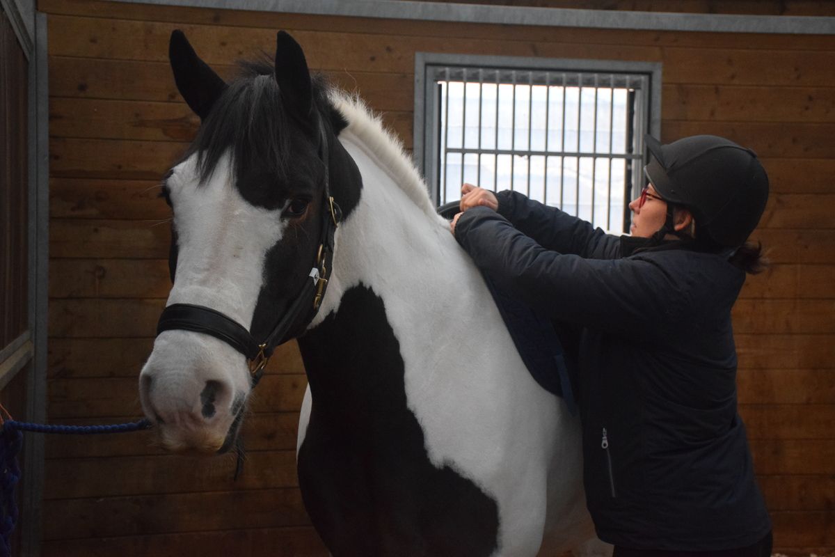 Hadlow College | Land-Based College in Kent and South-East London